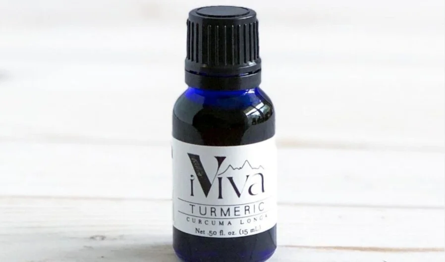 What's Here — Taylors Mill