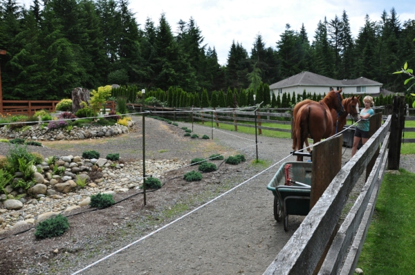 Track Paddocks — Horses for Clean Water