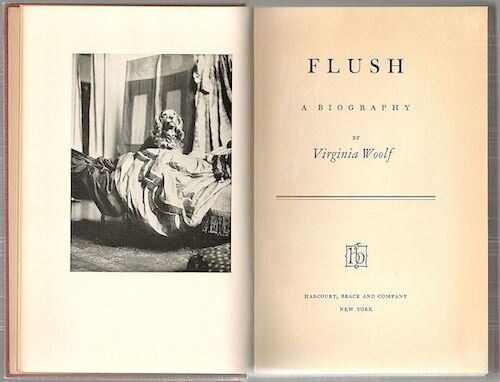 Flush: A biography — Literature Cambridge