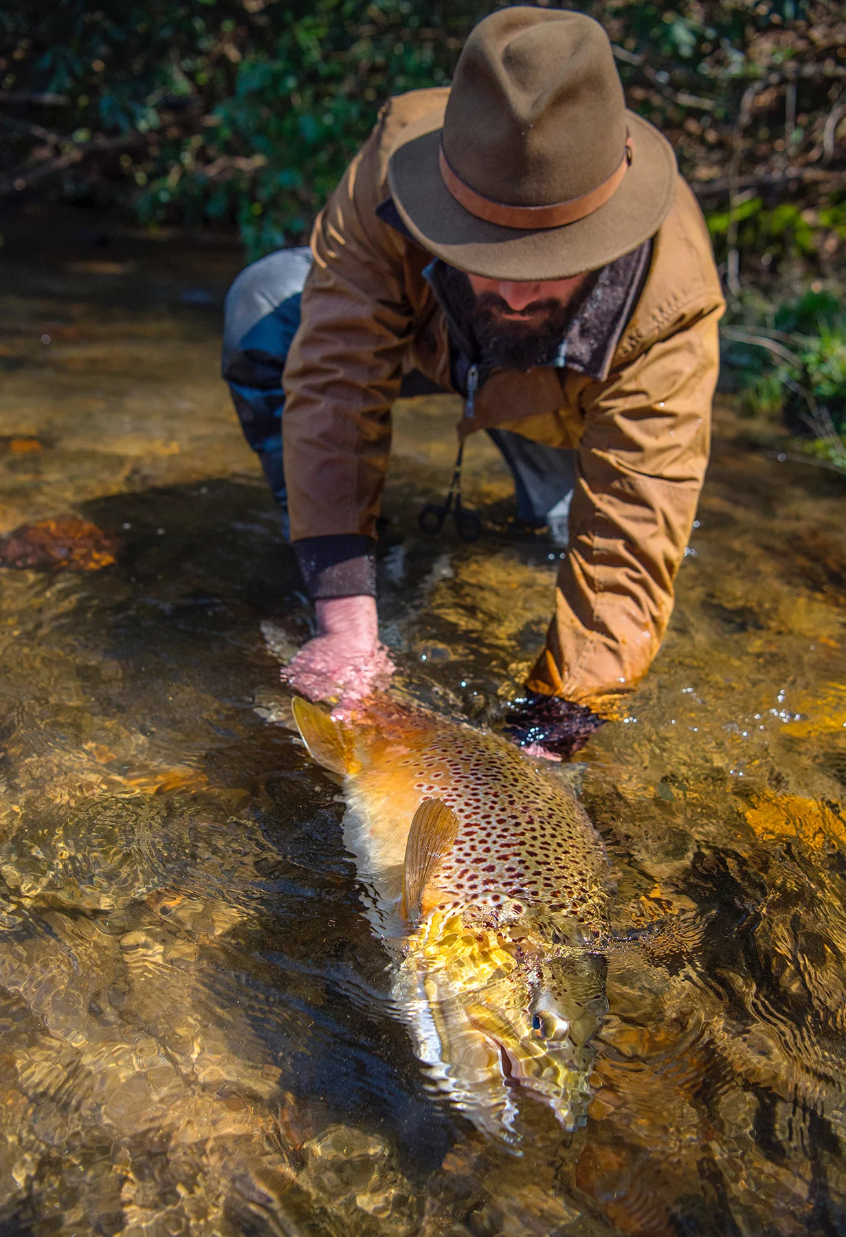 Fly Shop Company