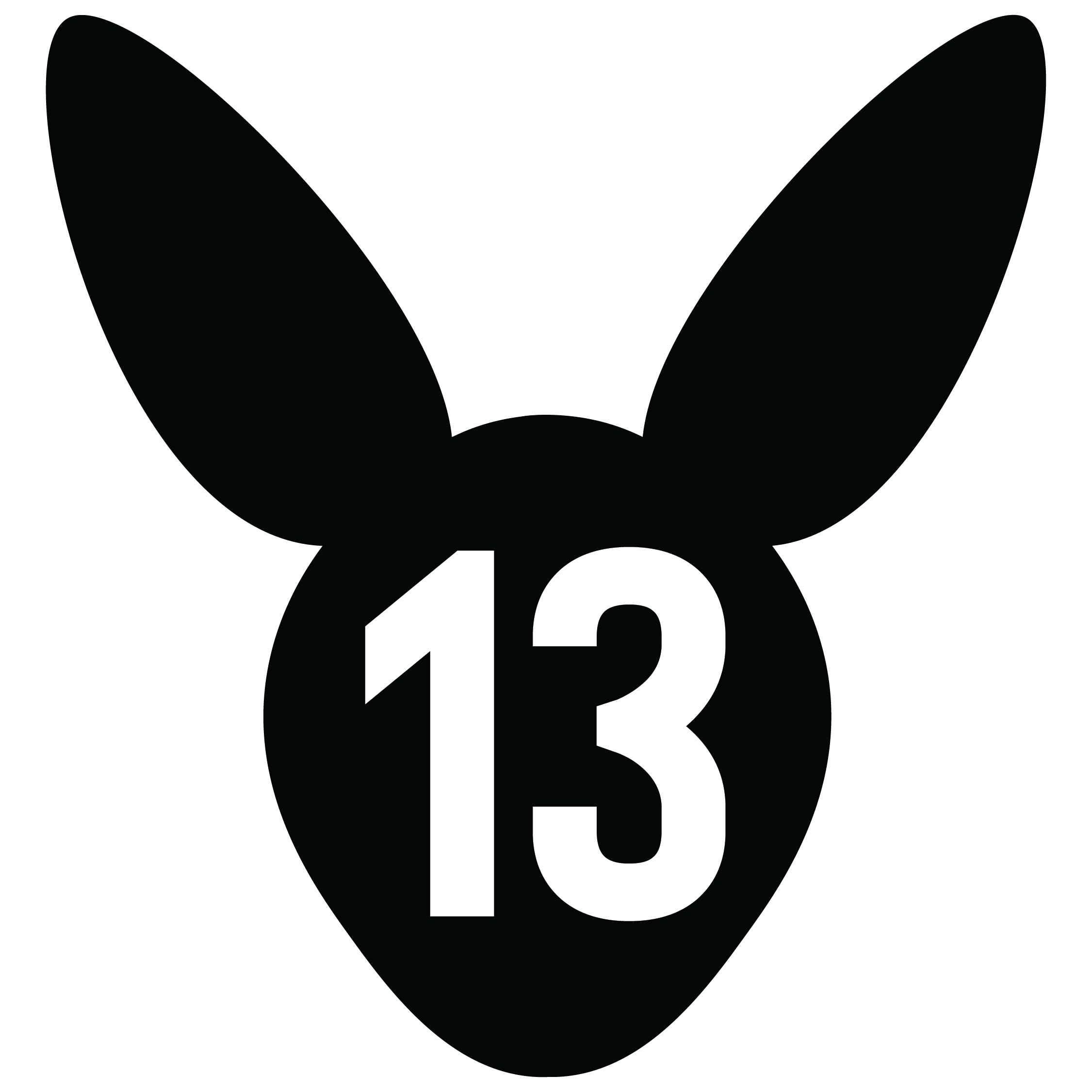 Unlucky Rabbit