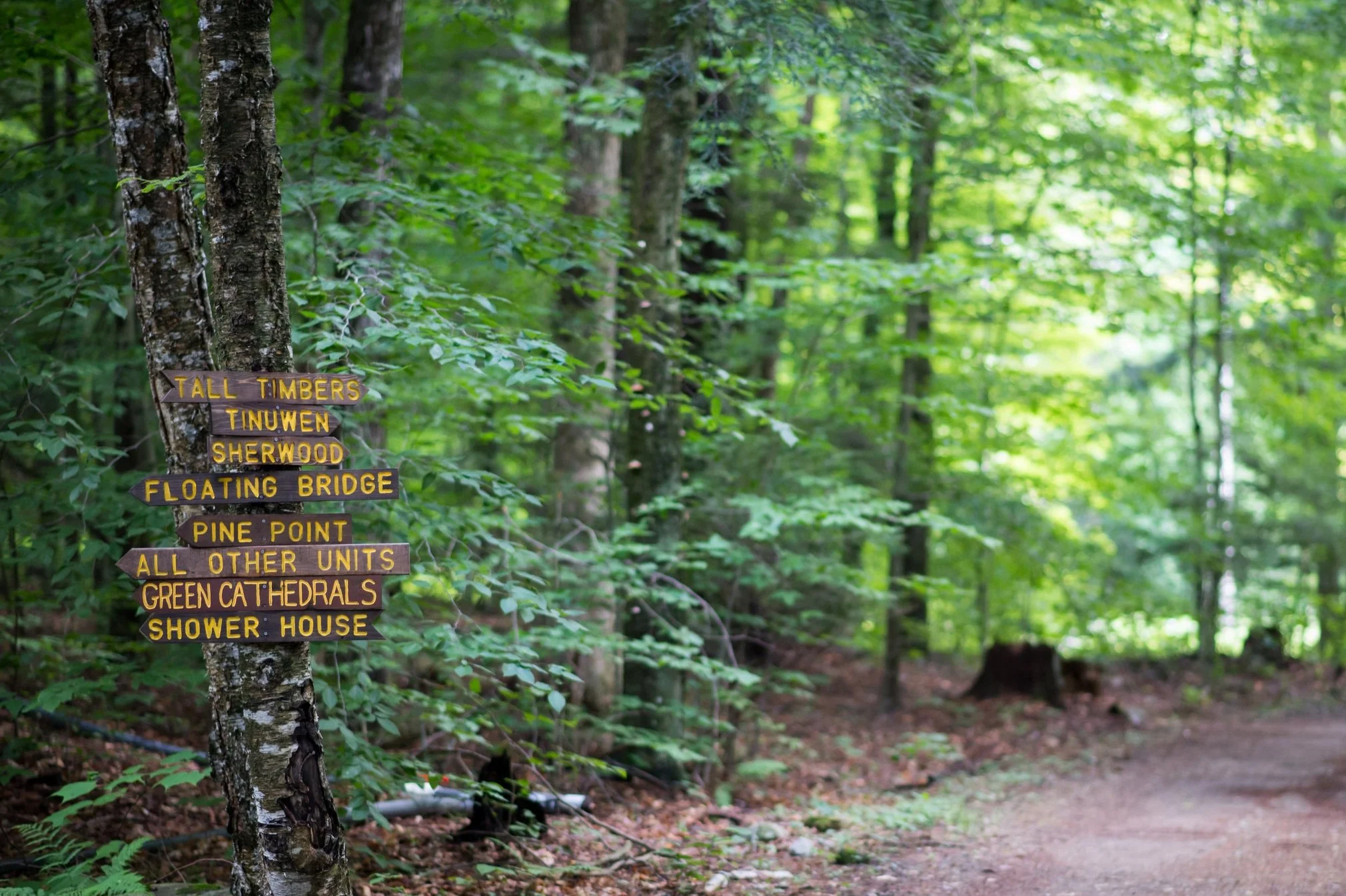 Adirondack Campground for families near Lake George, NY — Camp Little Notch