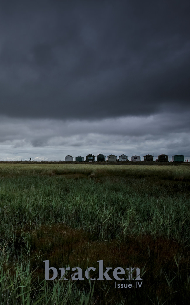 Issue IV — Bracken