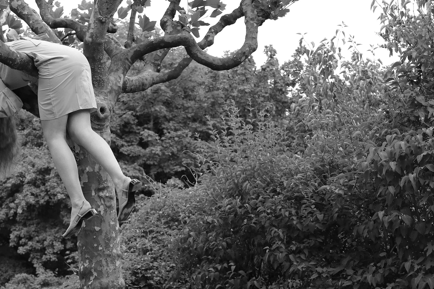 Women in Trees by Claudia Grünig — Bracken