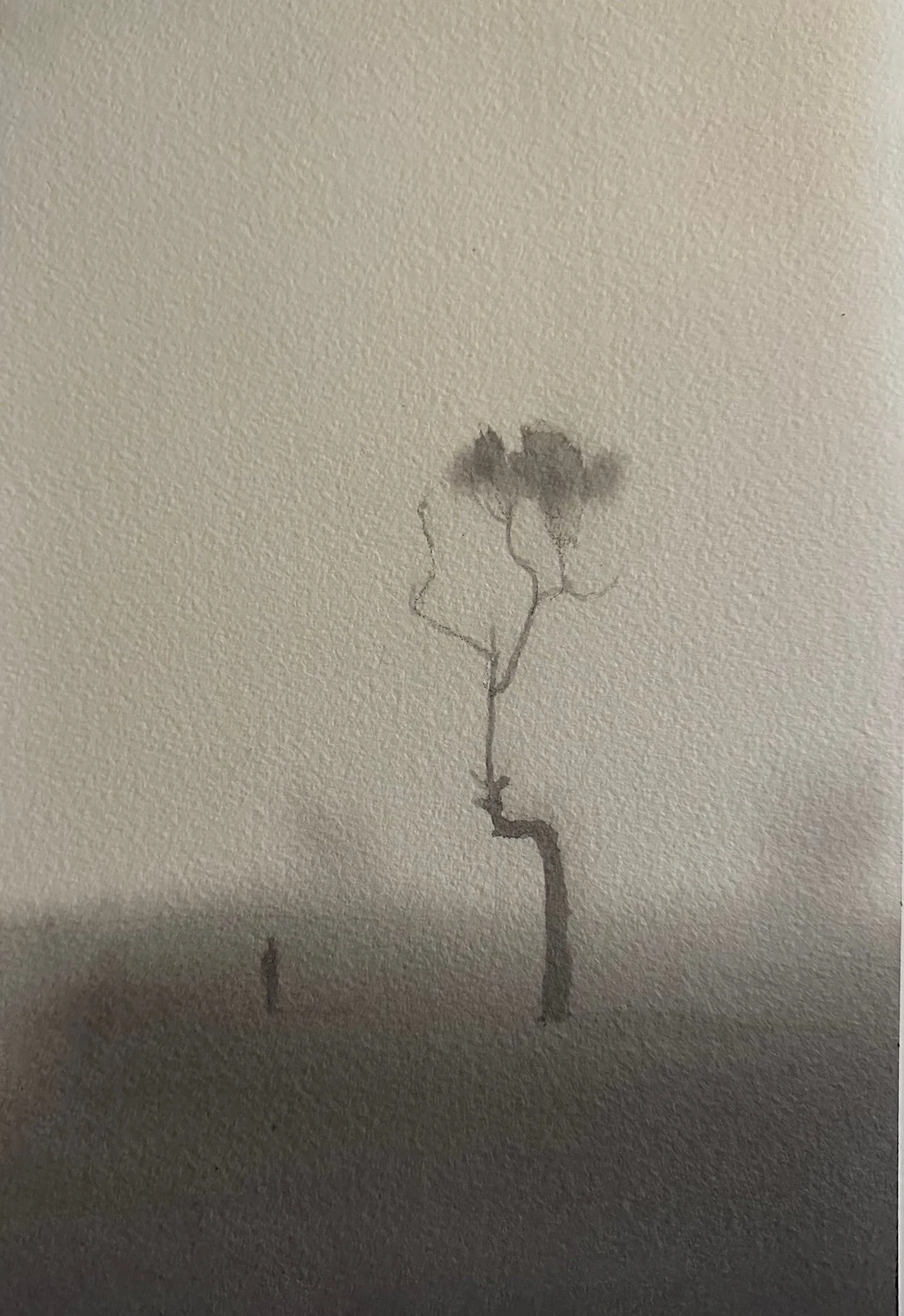 Katja Lang — Bracken