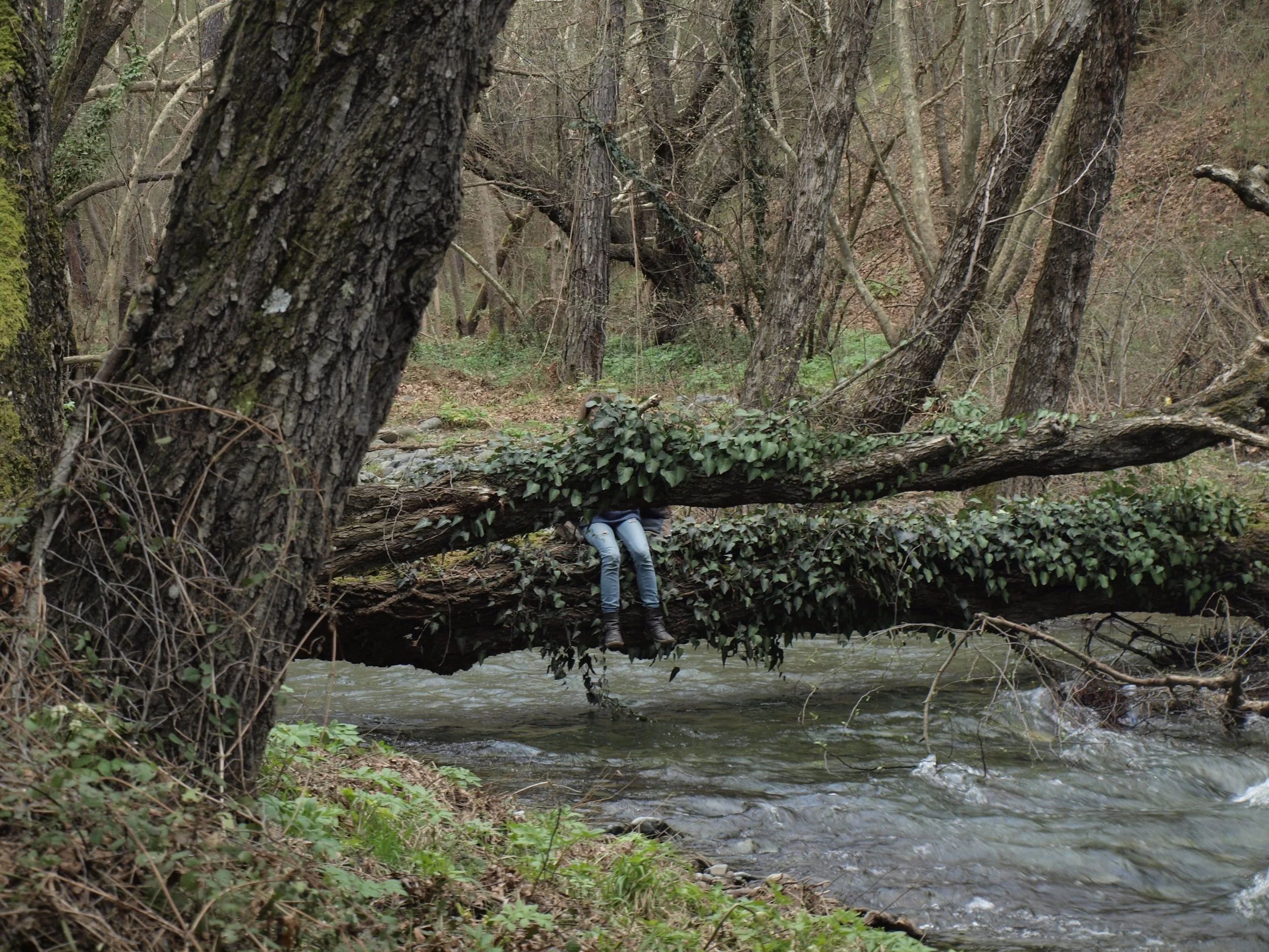 Issue XII Artists — Bracken