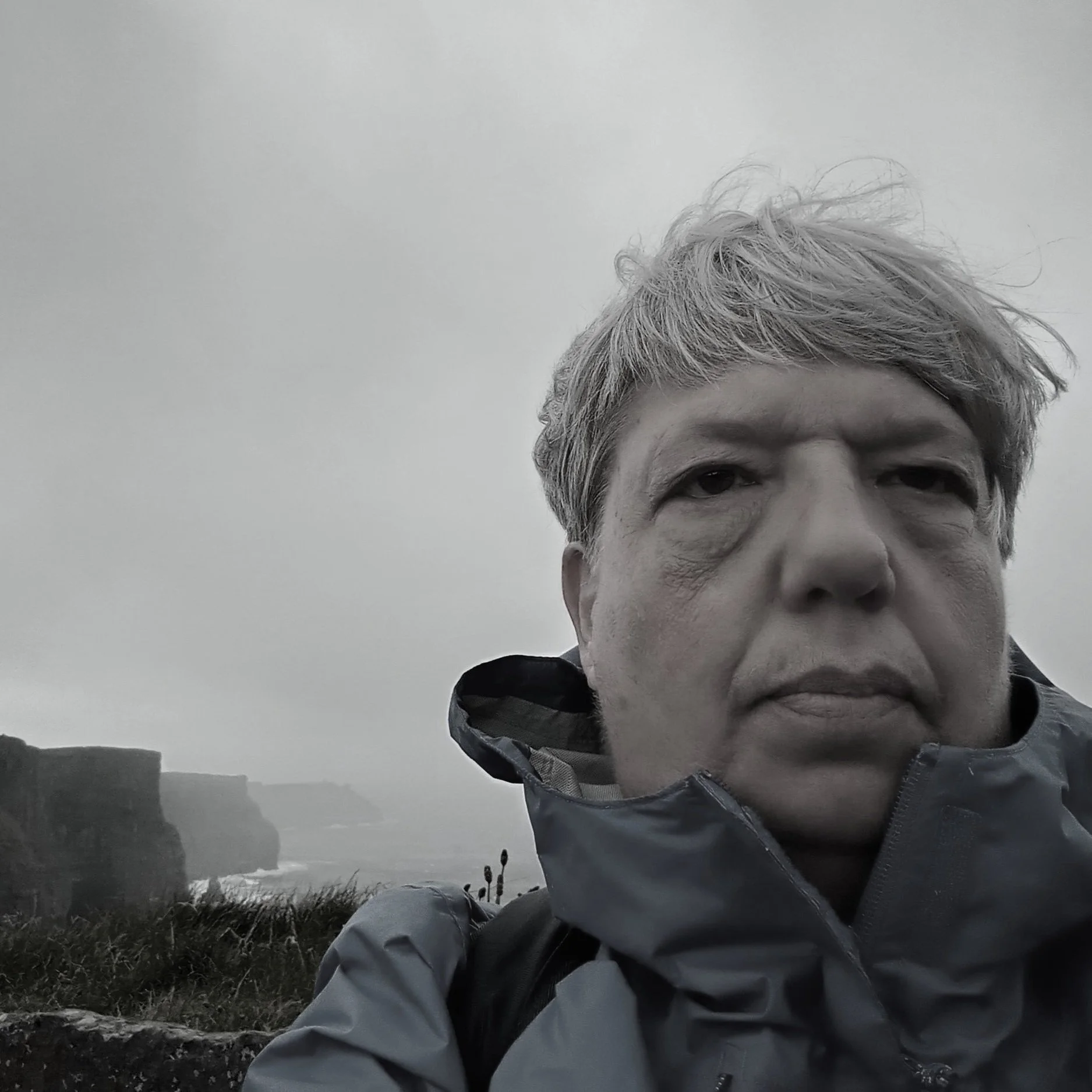 Bobcat by Lynn Domina — Bracken