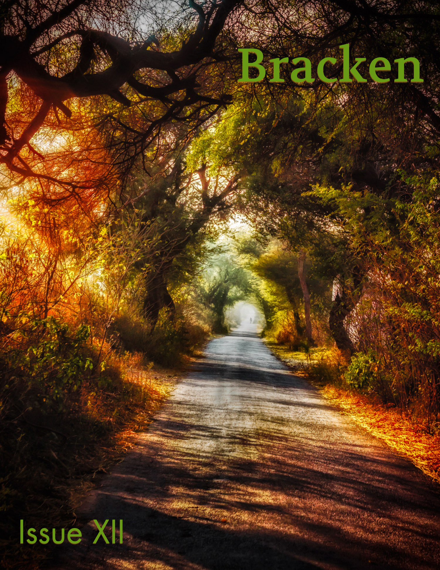 Issue XII — Bracken