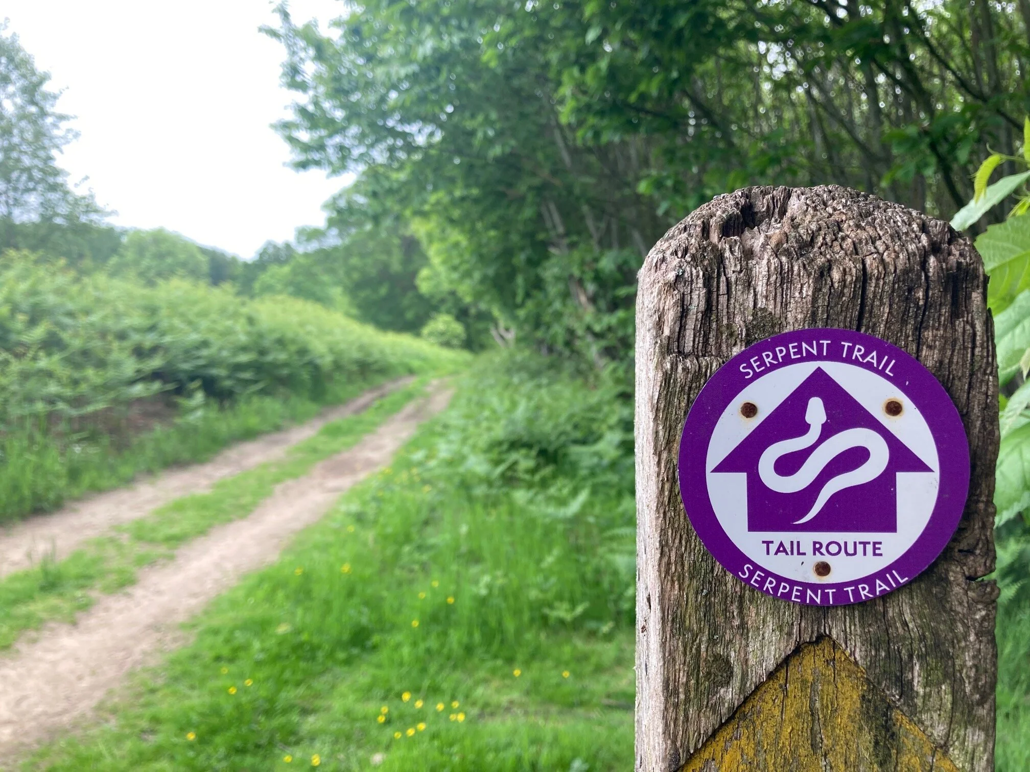 Serpent Trail 100k Ultramarathon - Info — The Serpent Trail