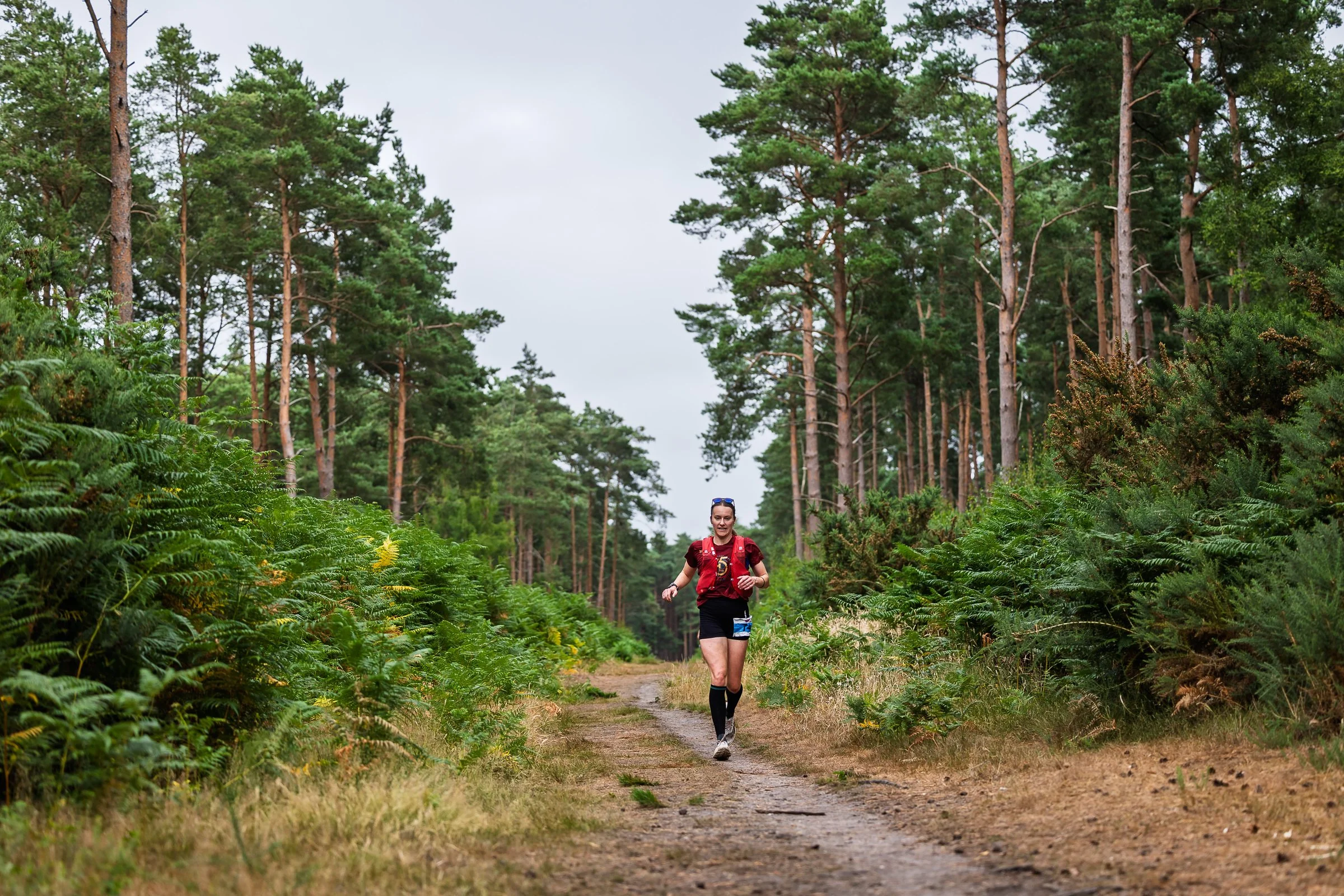 Serpent Trail 50k Ultramarathon — The Serpent Trail