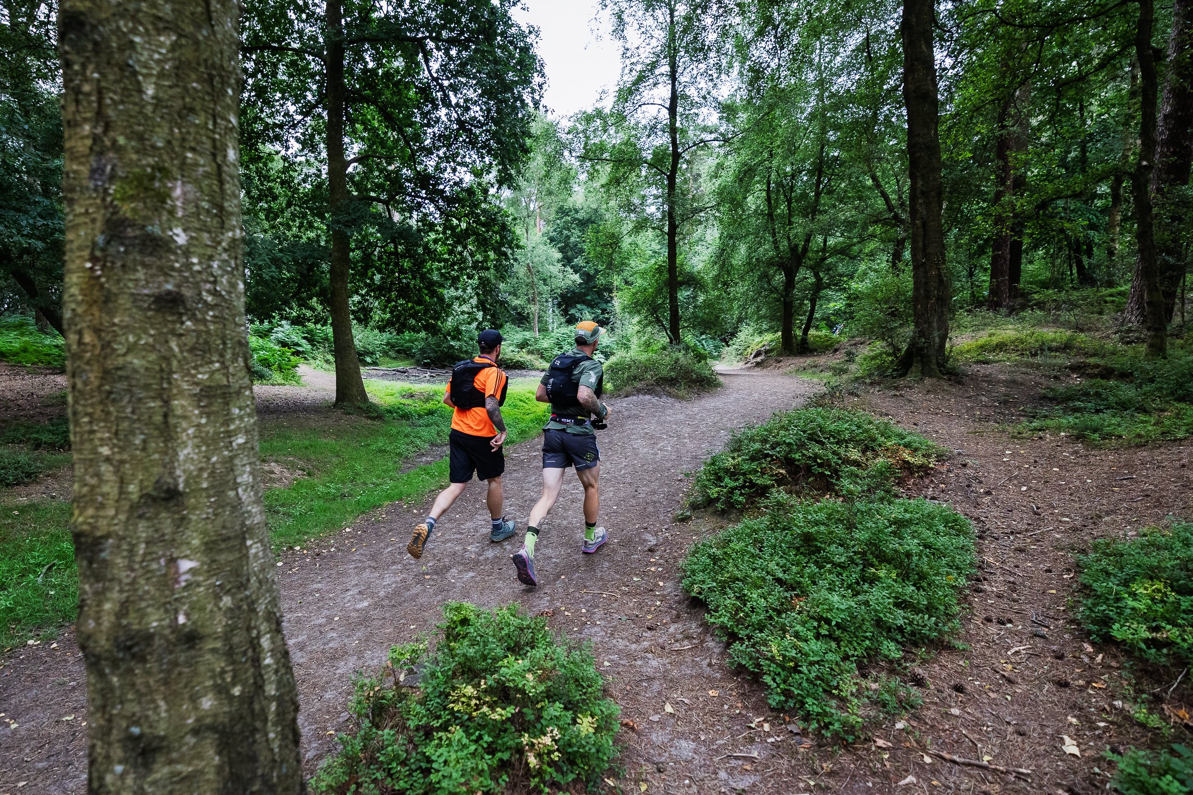 100k Route Info — The Serpent Trail