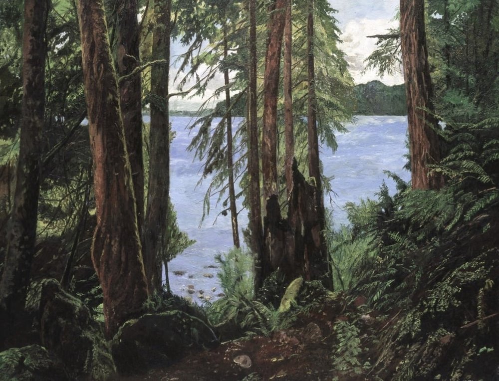 Collections — Harry Pattison