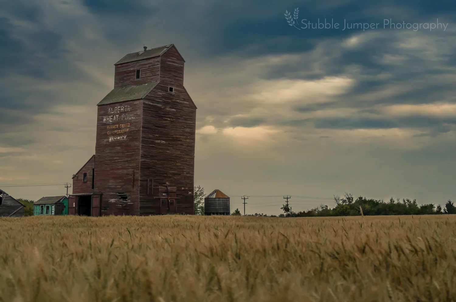 Warwick Alberta Wheat Pool — Stubble Jumper Photography
