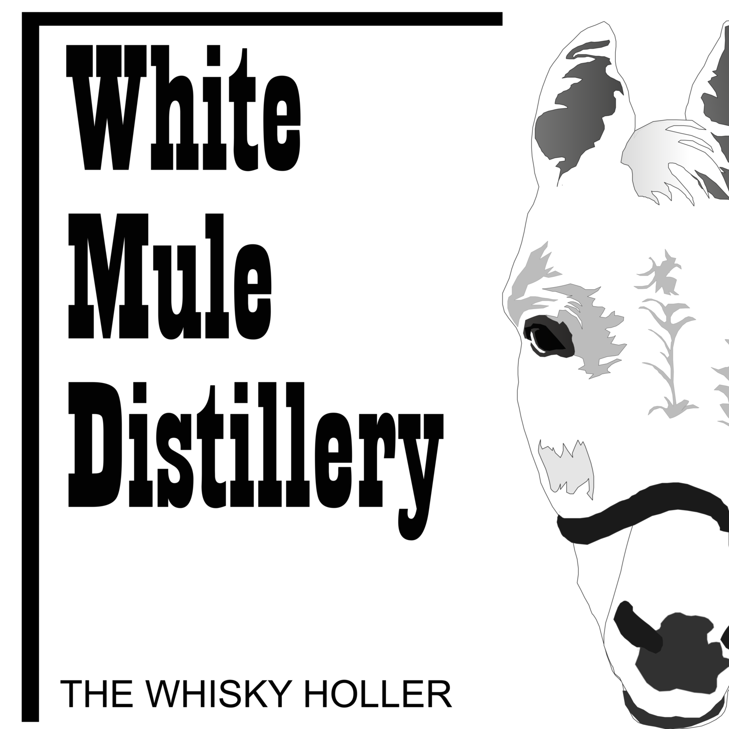 Ozark WhiskeyWelcome White Mule Distillery ozark-whiskeywelcome-white-mule-distillery
