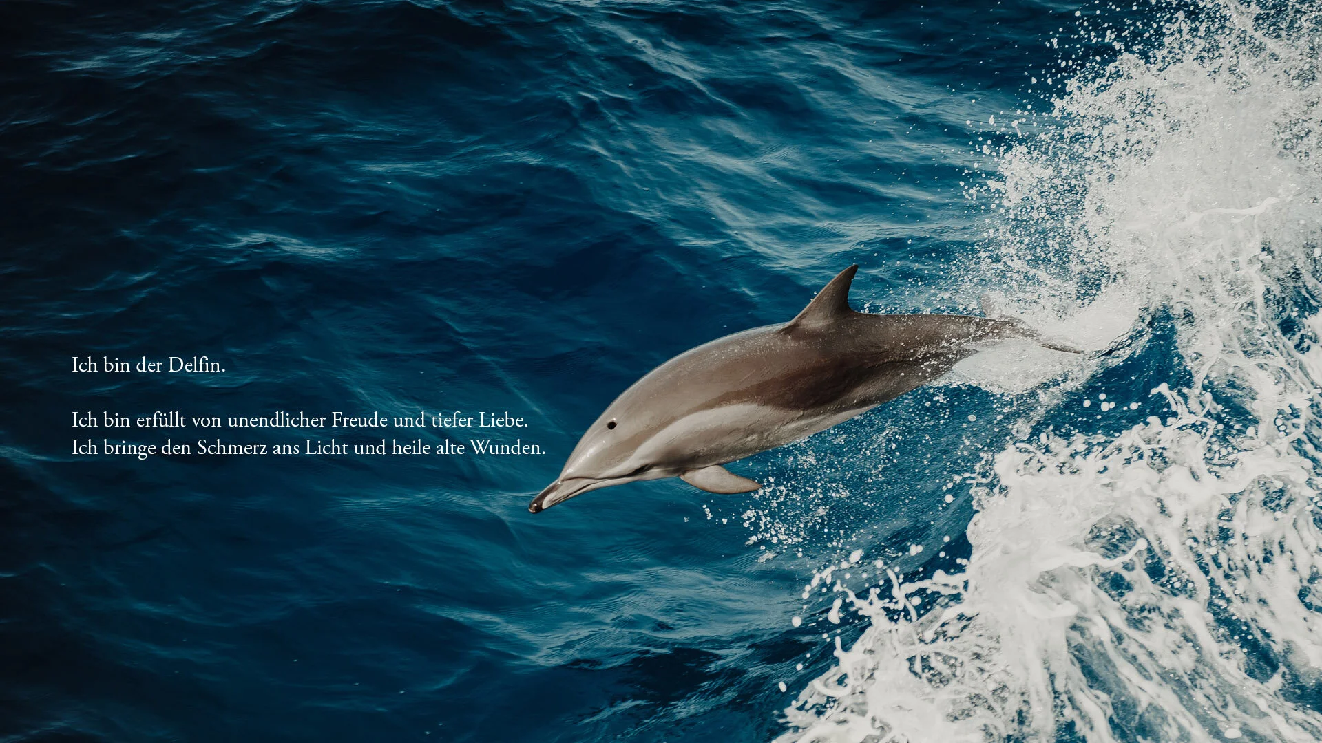 Weisheit der vier Winde - Orakelkarten und Begleitbuch mit spirituellen ...