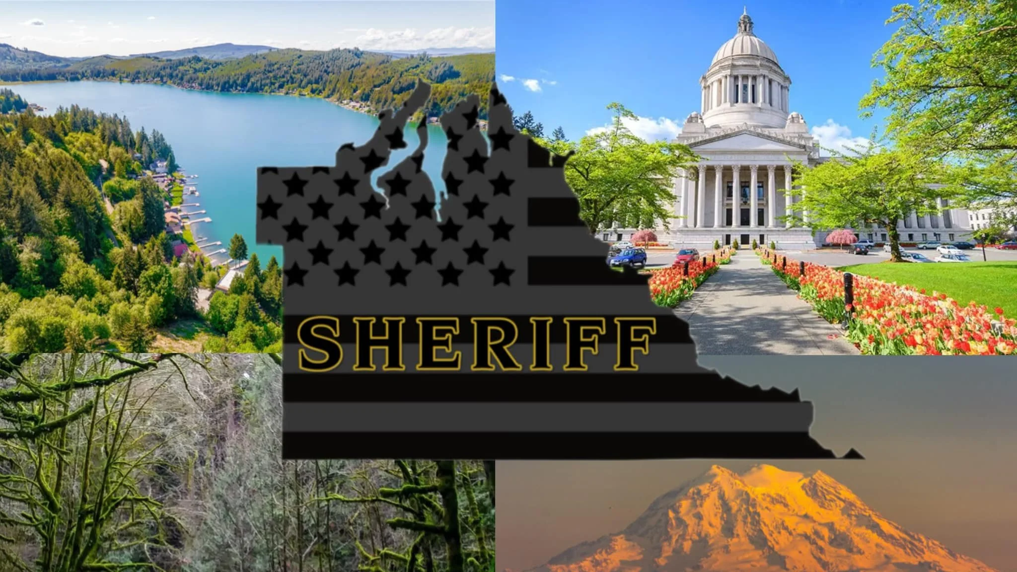 Sheriff Sanders addresses concerns pertaining to immigration ...