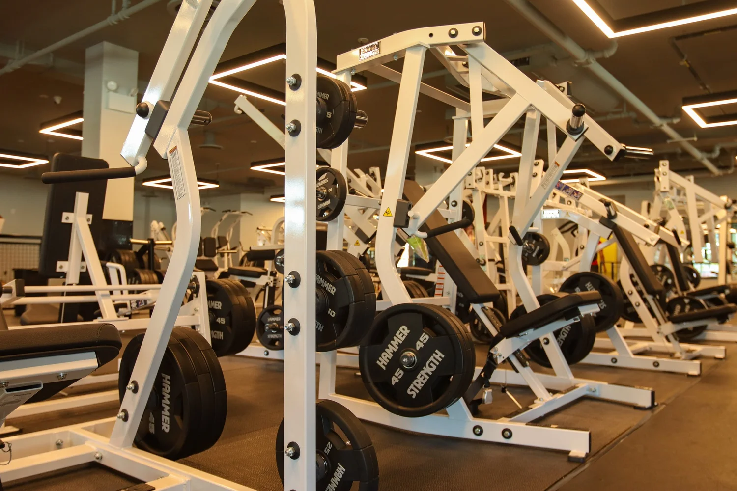 Harbor Fitness