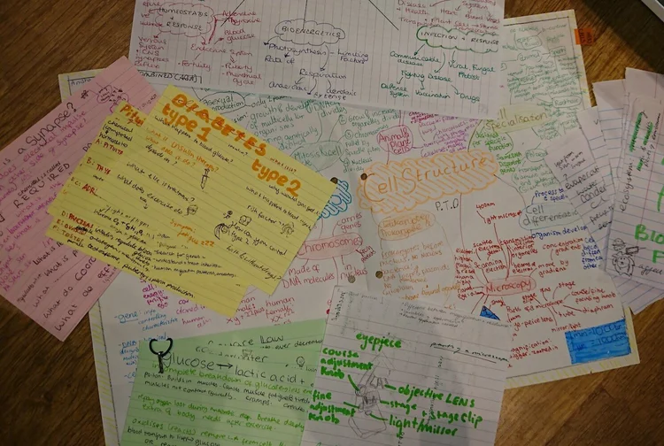 GCSE Combined (Trilogy) Science - What I Did To Get Two 9s | The Exam Coach