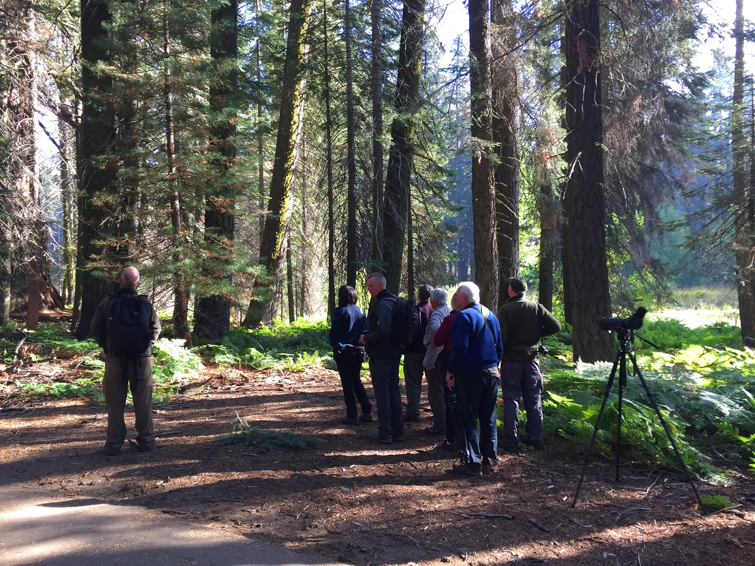 KAWEAH BASIN 2017 — TrailnameBackstroke