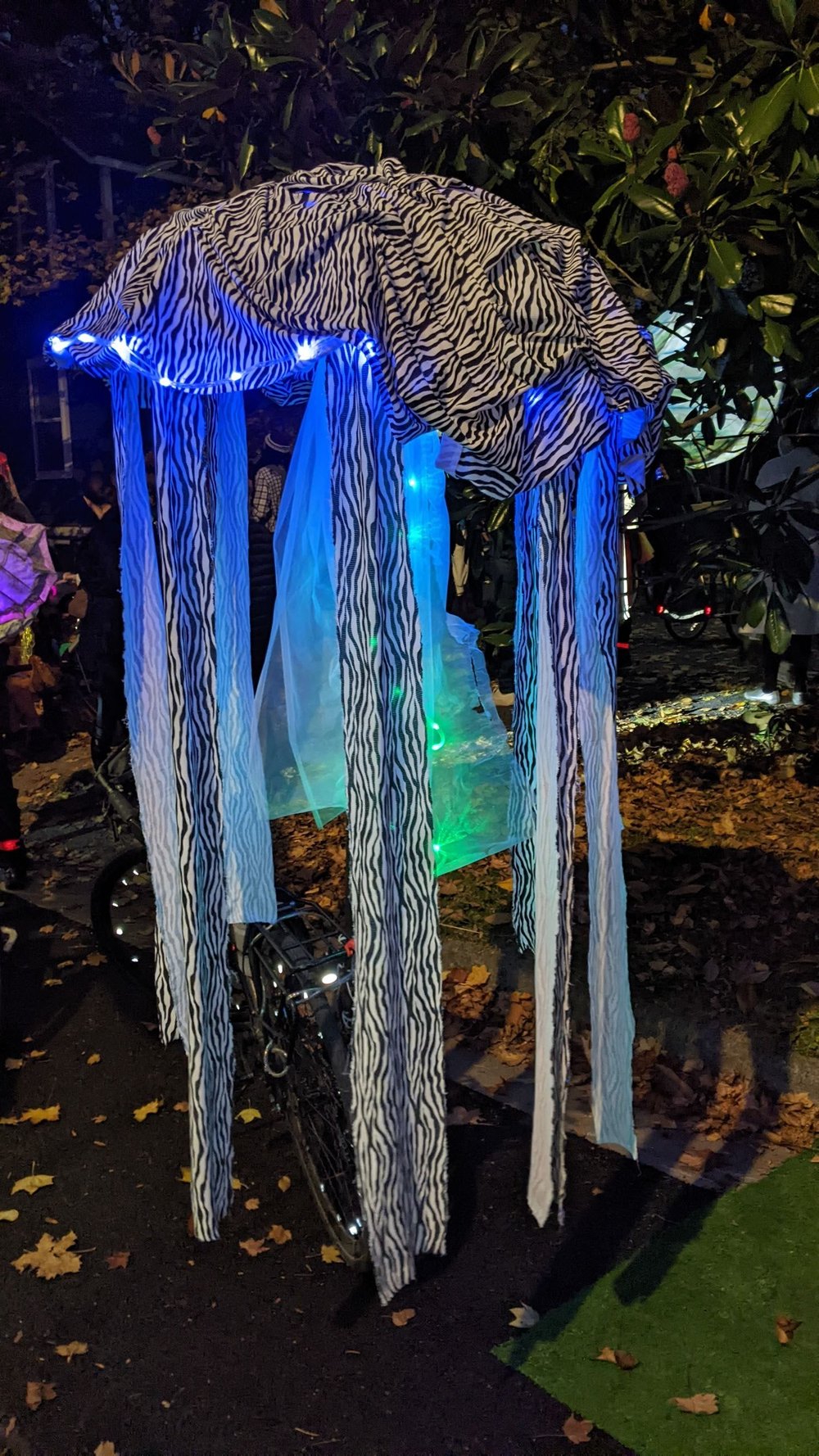 Lighted Bike Rides — Bike Walk Tompkins
