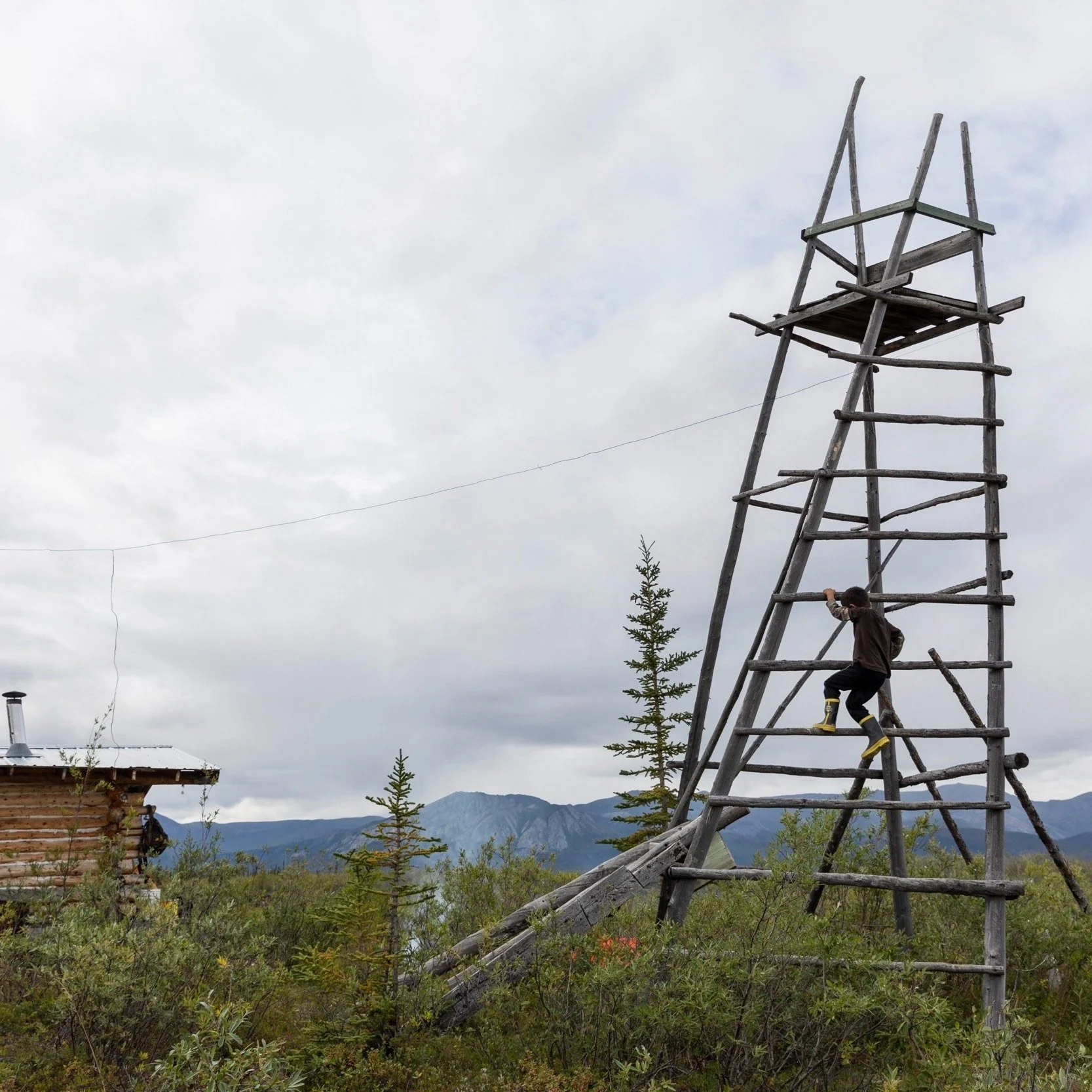 Environmental & Climate Justice — Native Movement