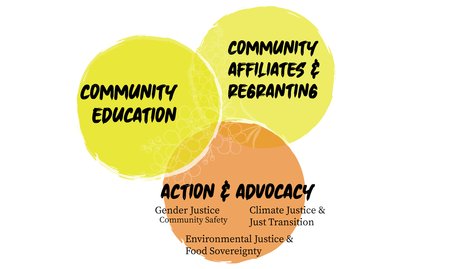 What We Do — Native Movement