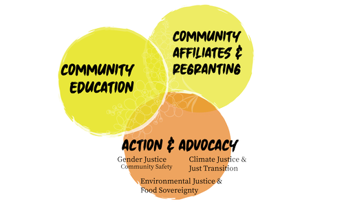 What We Do — Native Movement