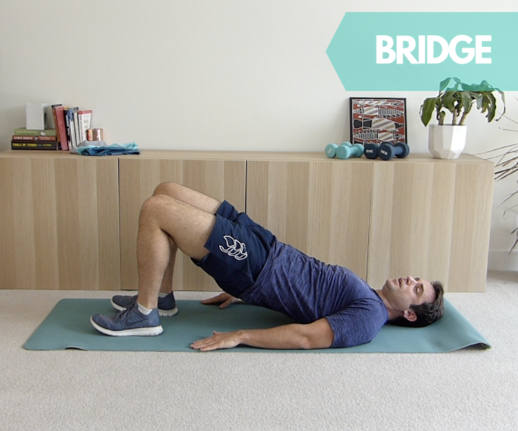 bridge exercise | glute and core strength exercise for older adults ...