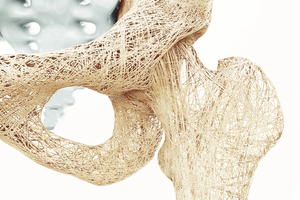 The Complete Guide To Strong Bones Over 60 — More Life Health - Seniors ...