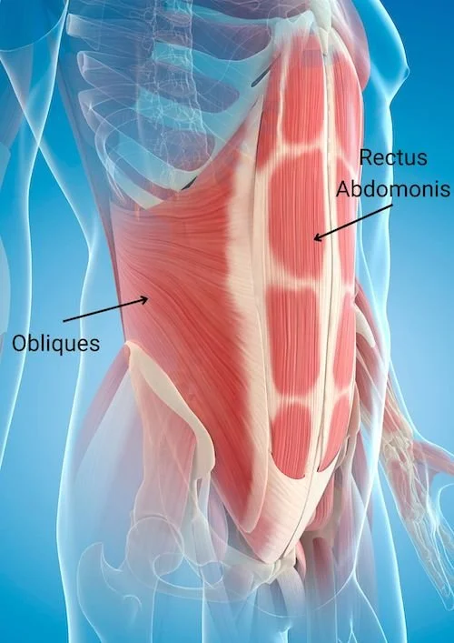 Core Strengthening for Seniors Over 60: Engage Your Core — More Life ...