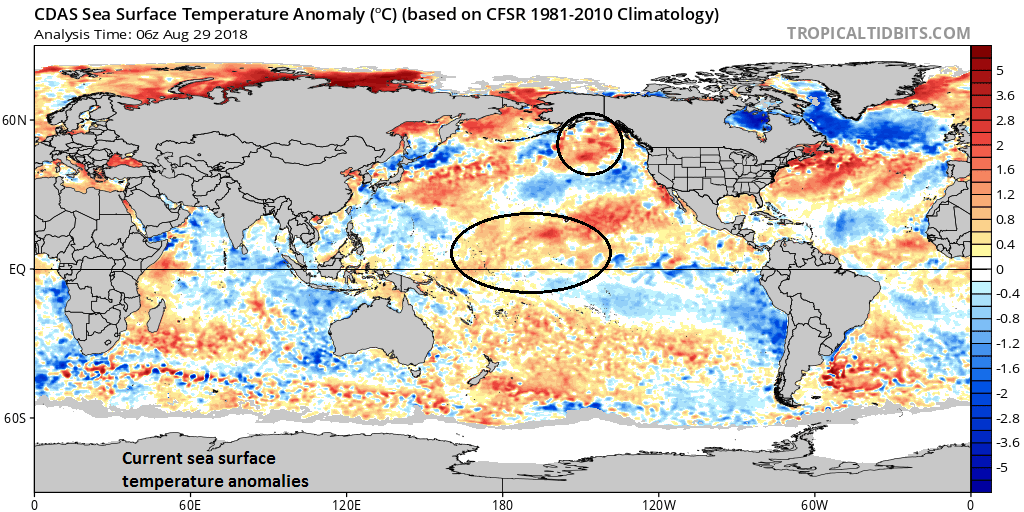 11:00 AM | *El Nino conditions are starting to appear in the equatorial ...