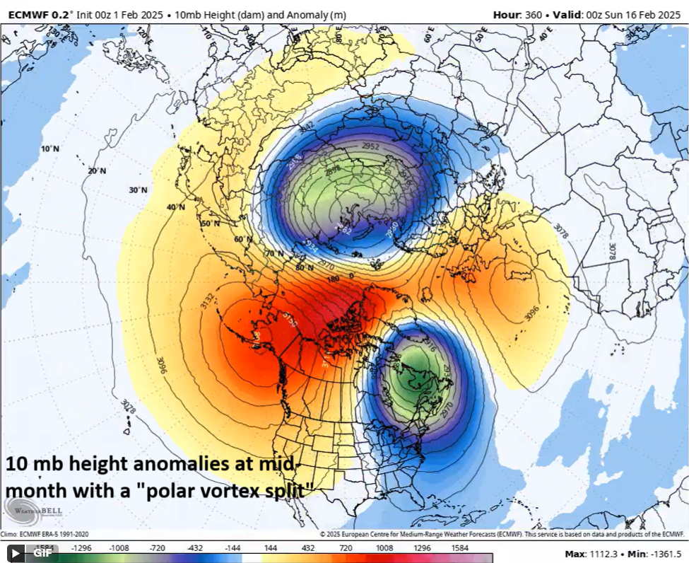 A look ahead to the month of February…a polar vortex split, plenty of ...