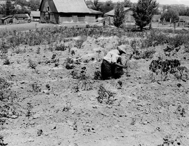Meteorologist: ‘The deadly heat wave of July 1936…in the middle of one ...