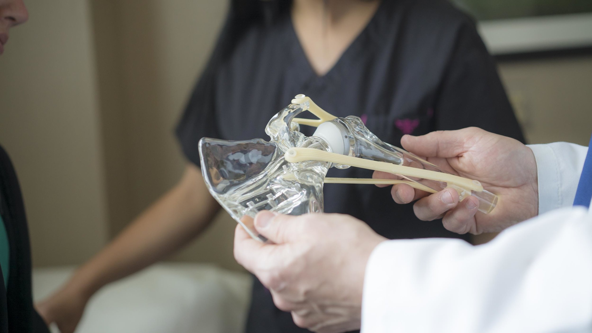 Southeast Michigan Center for Orthopedics