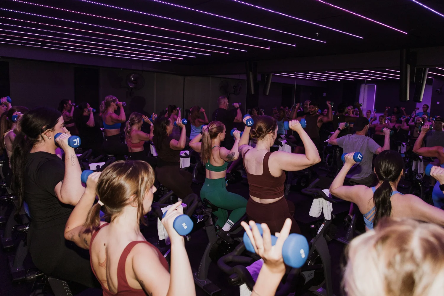 LIFECycle Spin Studio