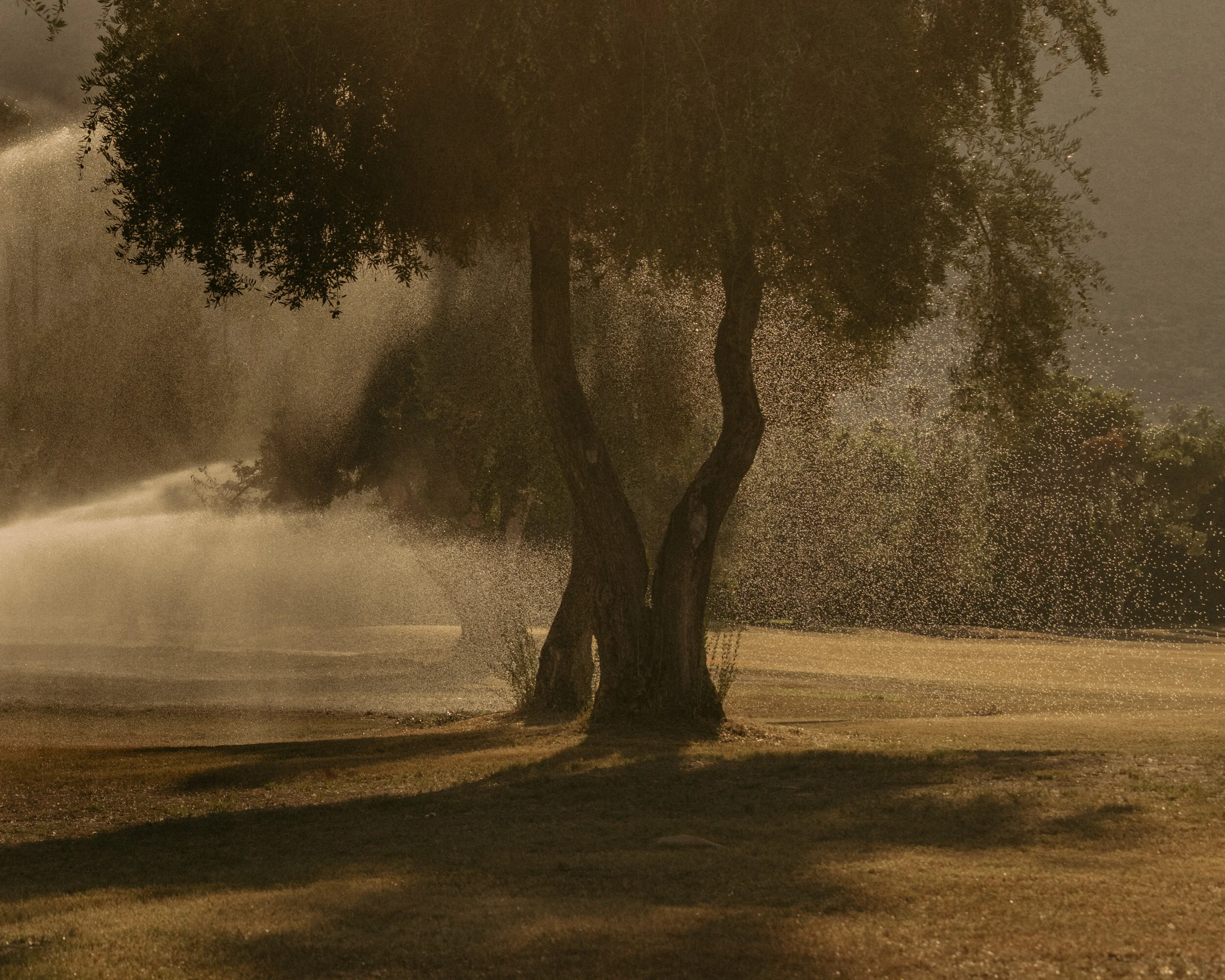 Travel Photography — Robert Rieger