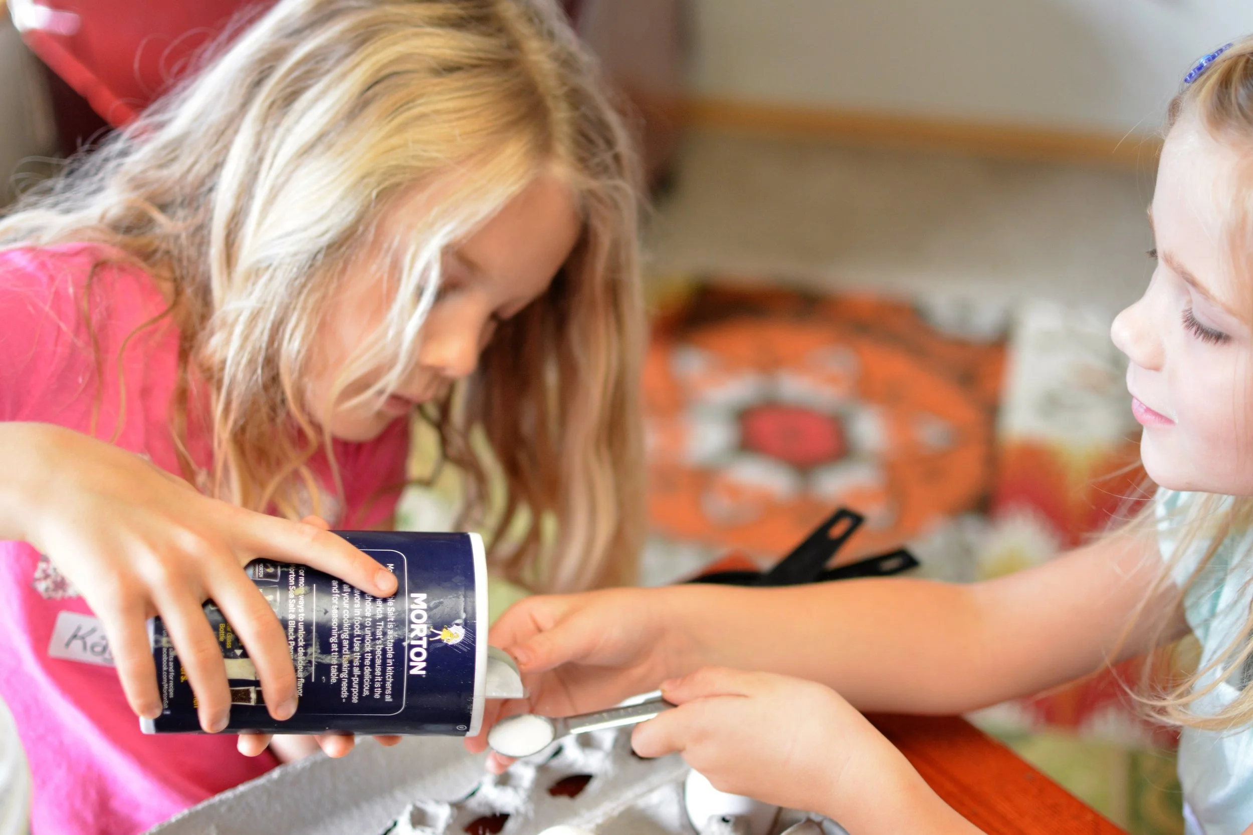 Young Philosophers — Schools for Humans