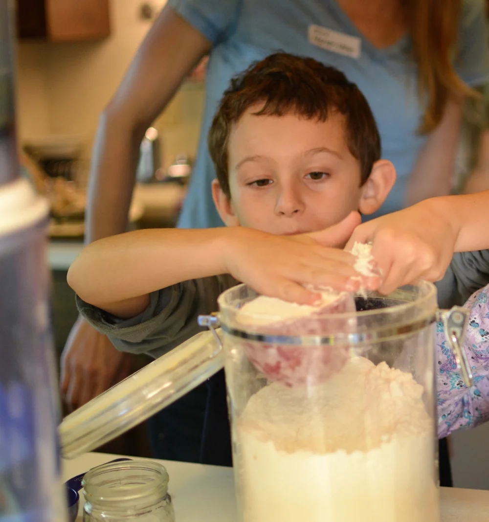 Young Philosophers — Schools for Humans