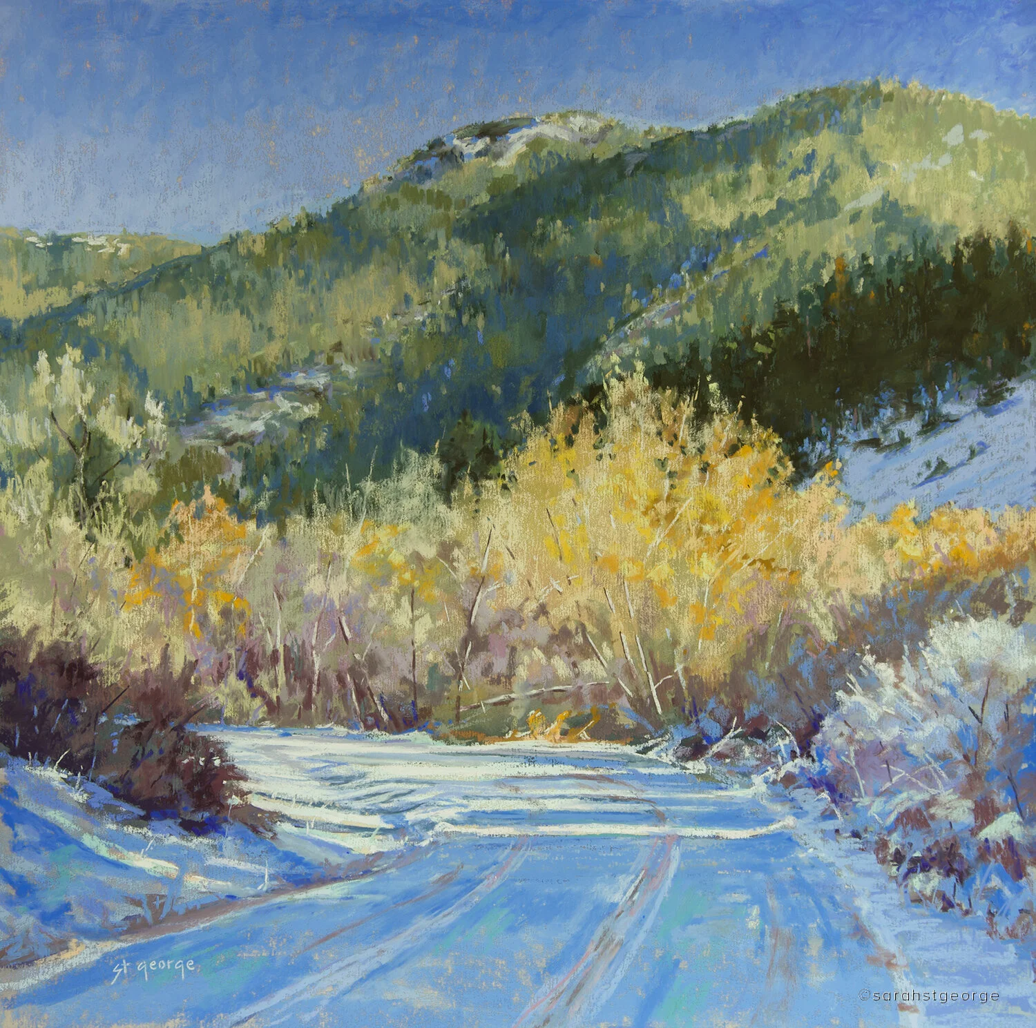 Landscapes — Sarah St George