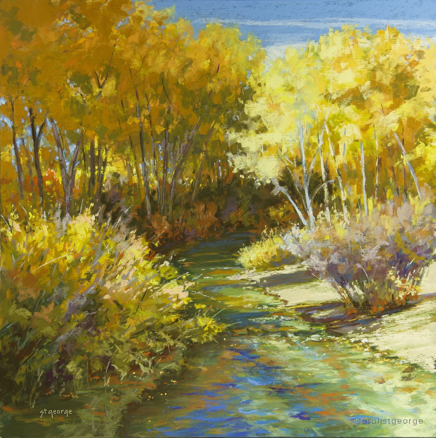 Landscapes — Sarah St George