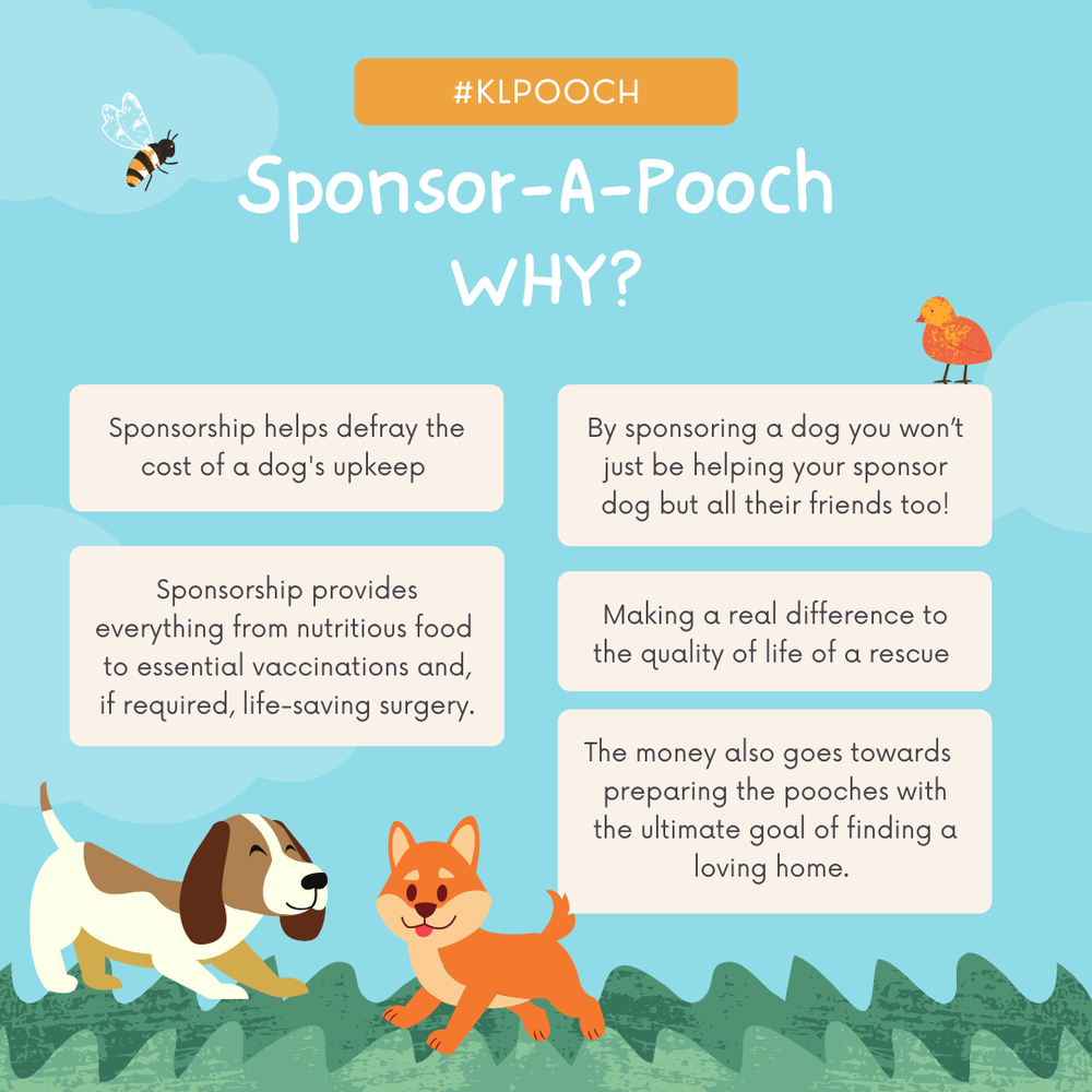 What Is A Sponsor Dog