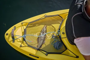 Slik kommer du deg til Austevoll — Visit Austevoll