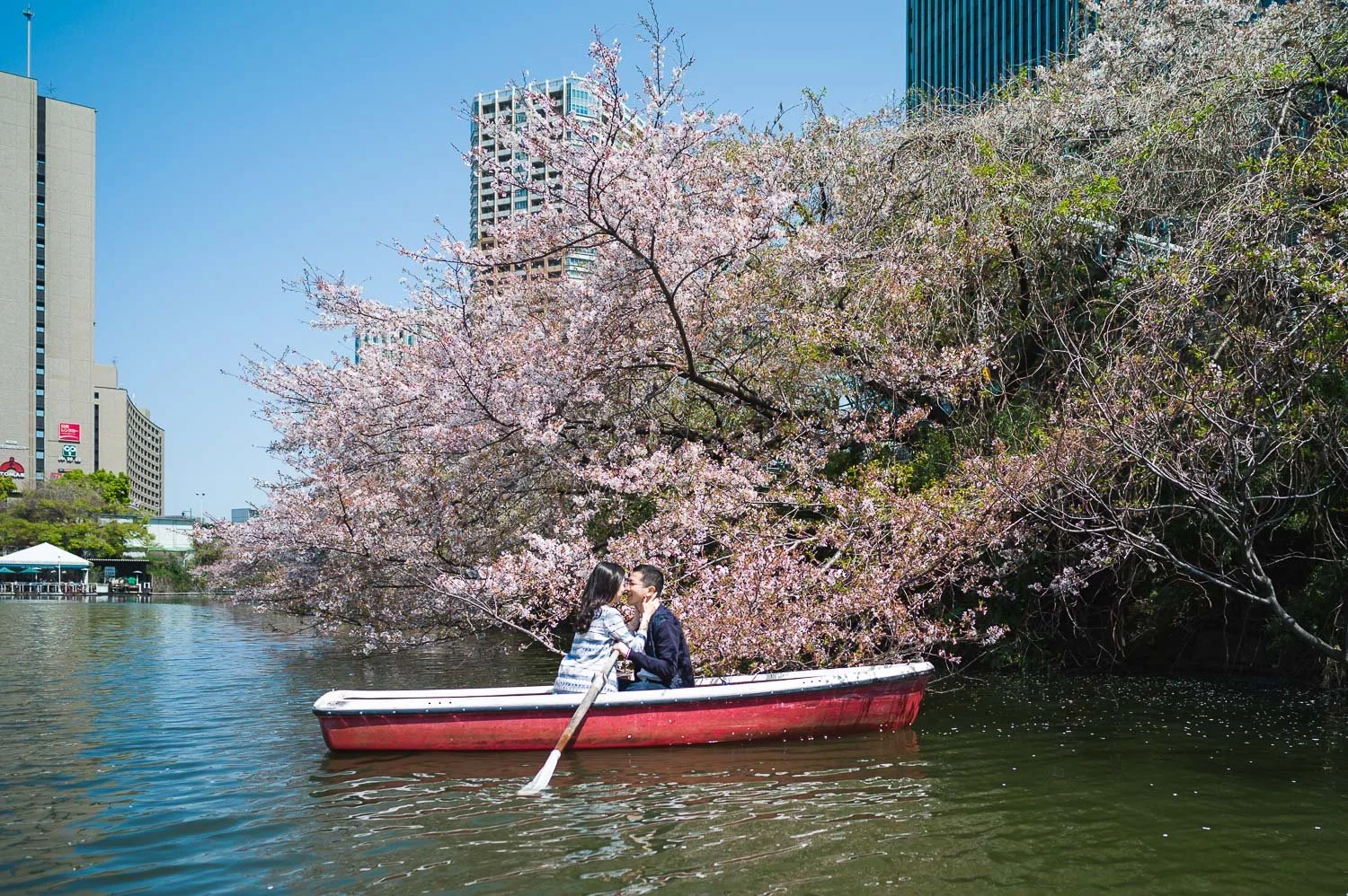 Romantic Sakura Boat Ride — Tokyo Vacation Photographer - Kan P.