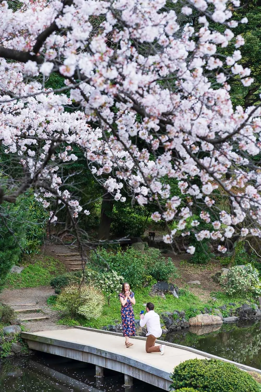 Professional Surprise Proposal Photographer in Tokyo | Personalized ...