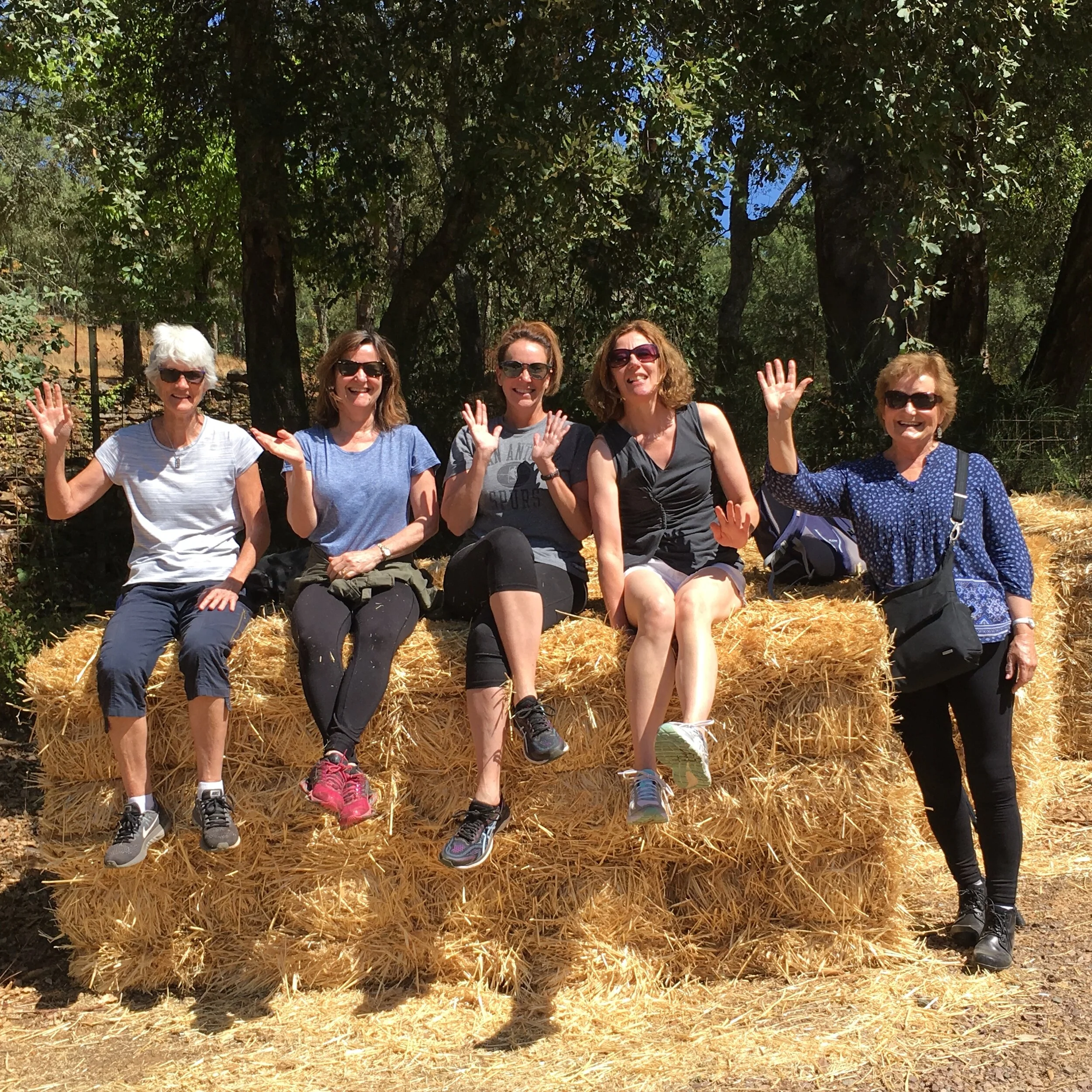 Spain — Creative writing holidays in Spain and writing workshops on Zoom