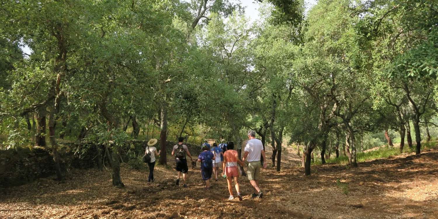 Spain — Creative writing holidays in Spain and writing workshops on Zoom