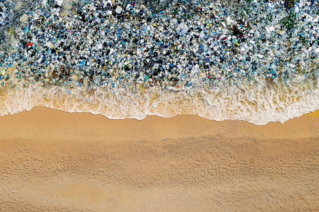 Edward Humes - Author & Pulitzer Prize-Winning Journalist