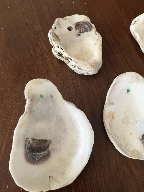 DIY Oyster Shell Necklaces – Step-by-Step Guide with Supplies
