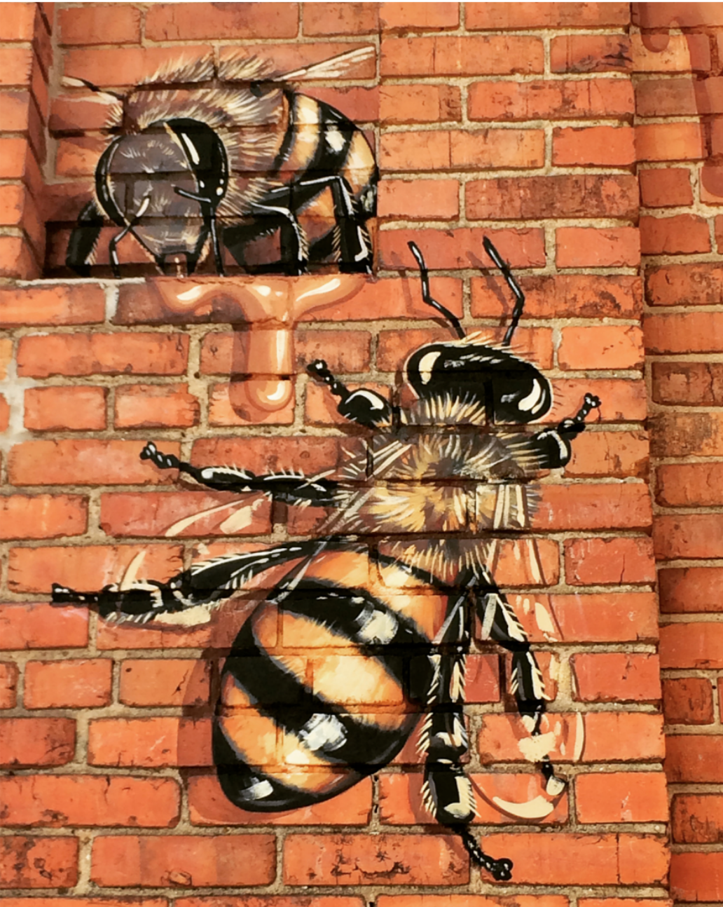 Let's Save The Bees