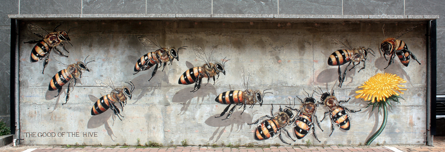 Let's Save The Bees